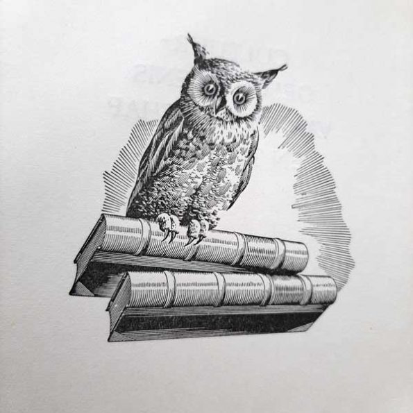 Owl animatronic finished - Pololu example - Dizary